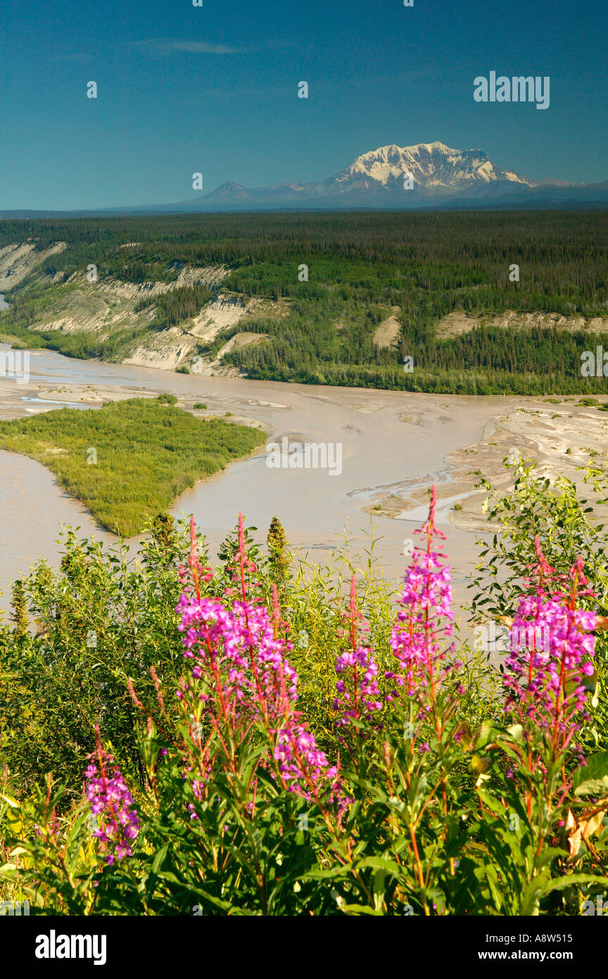 The Copper River and Mount Drum of the Wrangell Mountains Wrangell ...