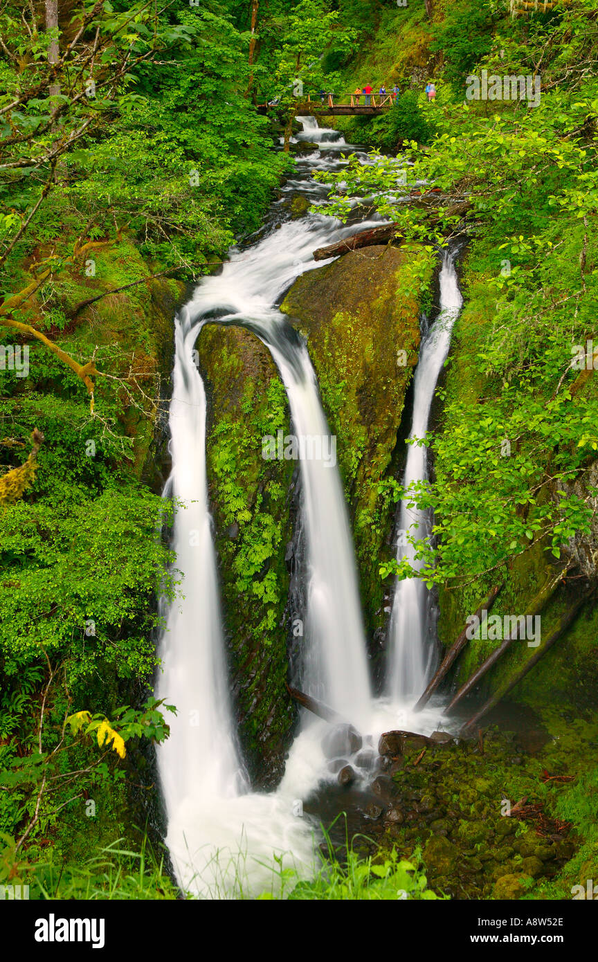 Hikers above Triple Falls along the Horsetail Falls Trail 438 Columbia ...