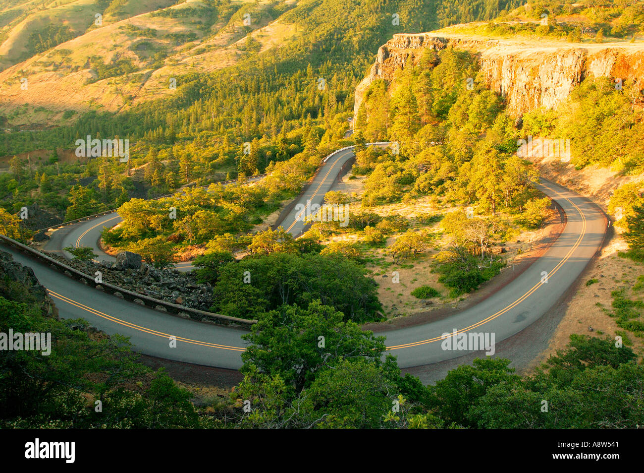 The Rowena Loops on the Historic Columbia River Highway Columbia River ...