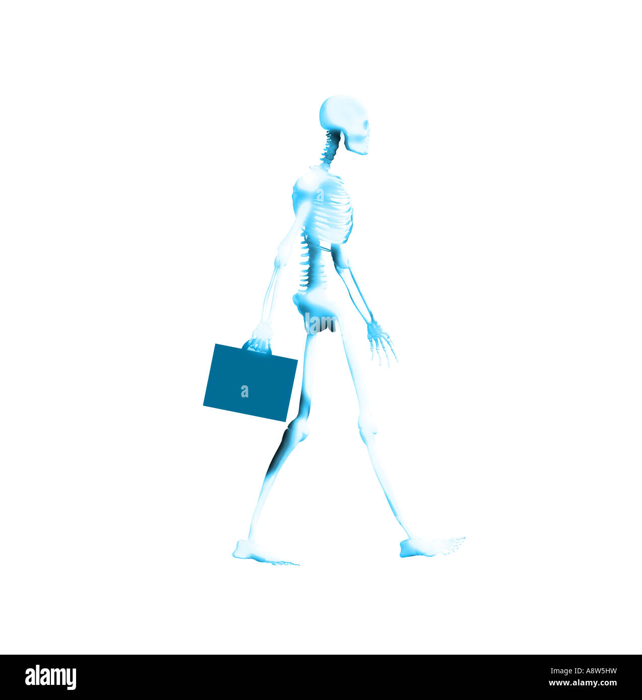 Skeleton business person Stock Photo - Alamy