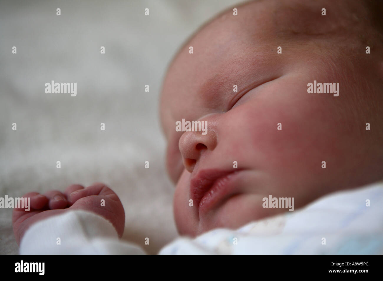 New born baby girl one day old in cot Stock Photo - Alamy