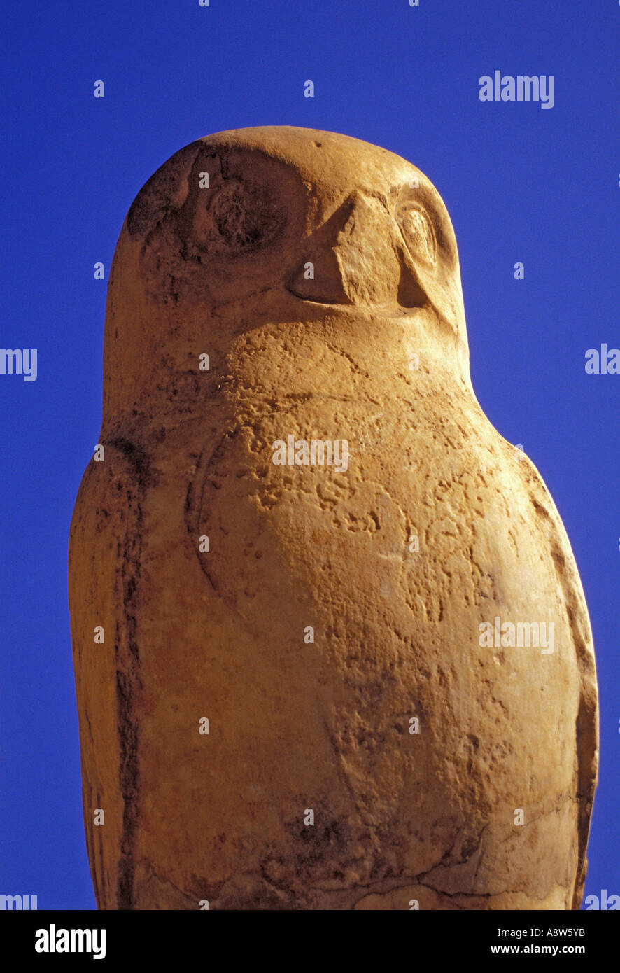 Owl - Athena's Sacred Bird - Statue outside the Acropolis Museum ...