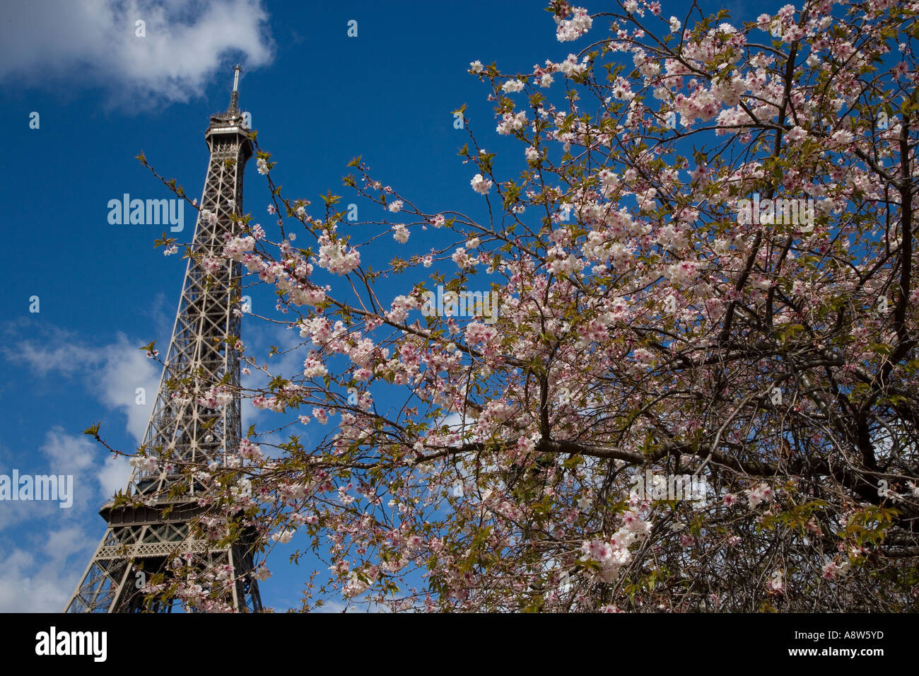 Eiffel Tower Paris France Spring Stock Photo - Alamy