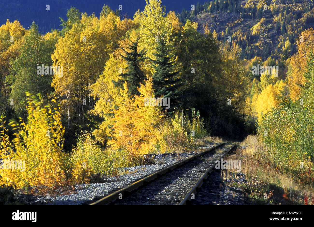 Alaska Railroad tracks during fall Alaska Stock Photo - Alamy