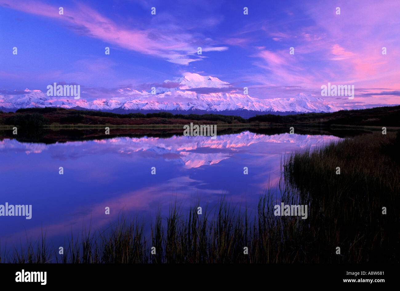 Mt McKinley Denali Alpenglow Sunset Denali National Park Alaska Stock ...