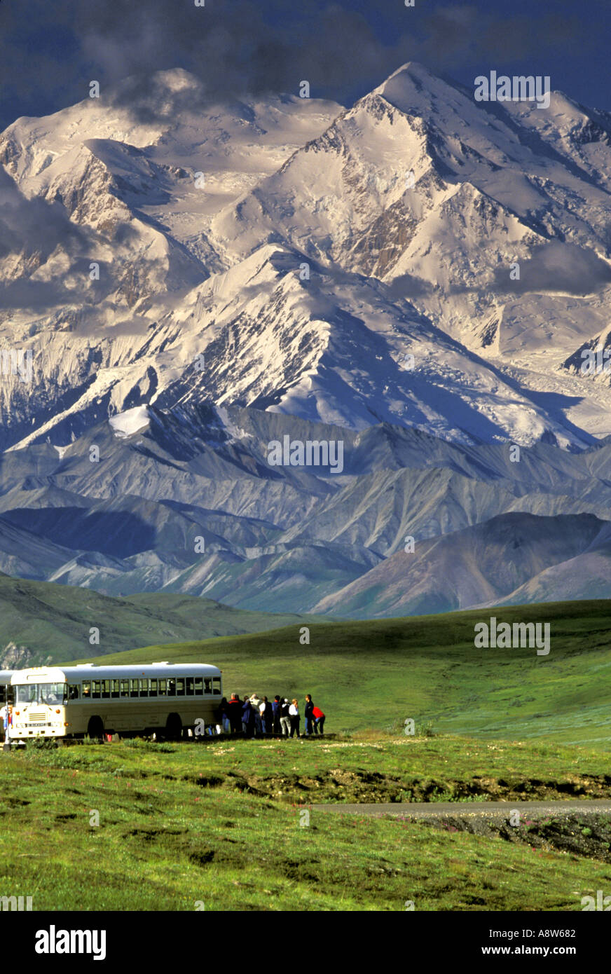 Tour bus in front of Mt McKinley Denali National Park Alaska Stock ...
