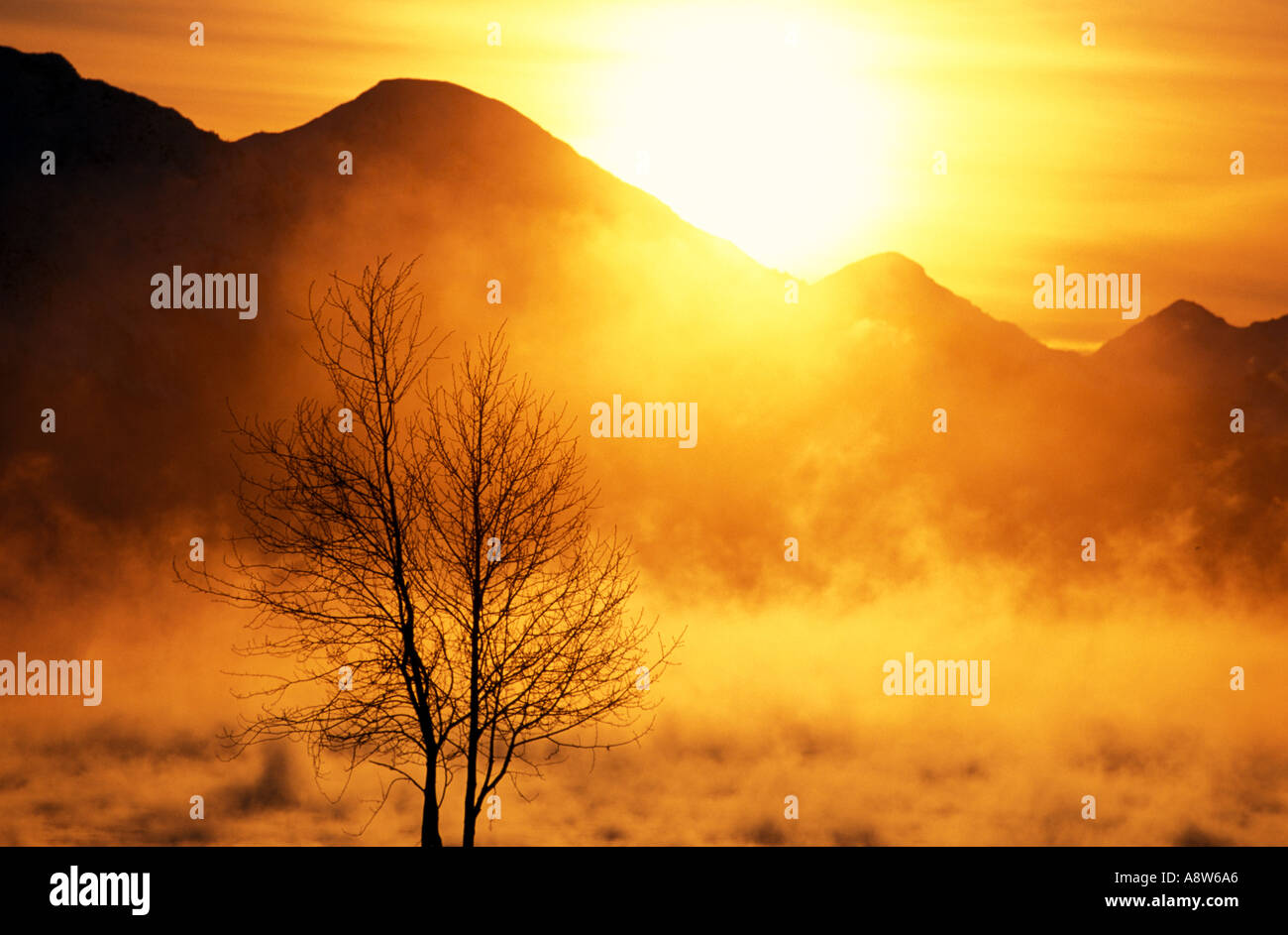 Winter ice fog on Resurrection Bay at Sunrise Seward Alaska Stock Photo ...