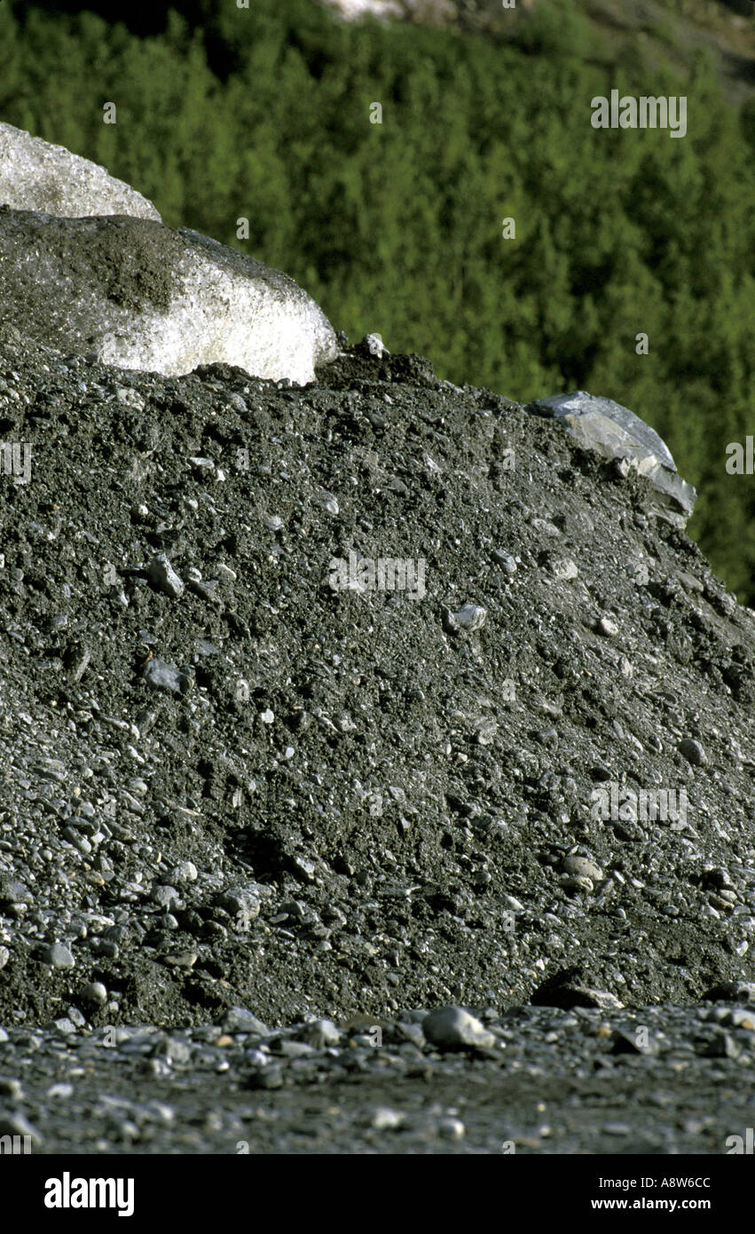 Terminal moraine created after a surge in Exit Glacier Kenai Fjords ...