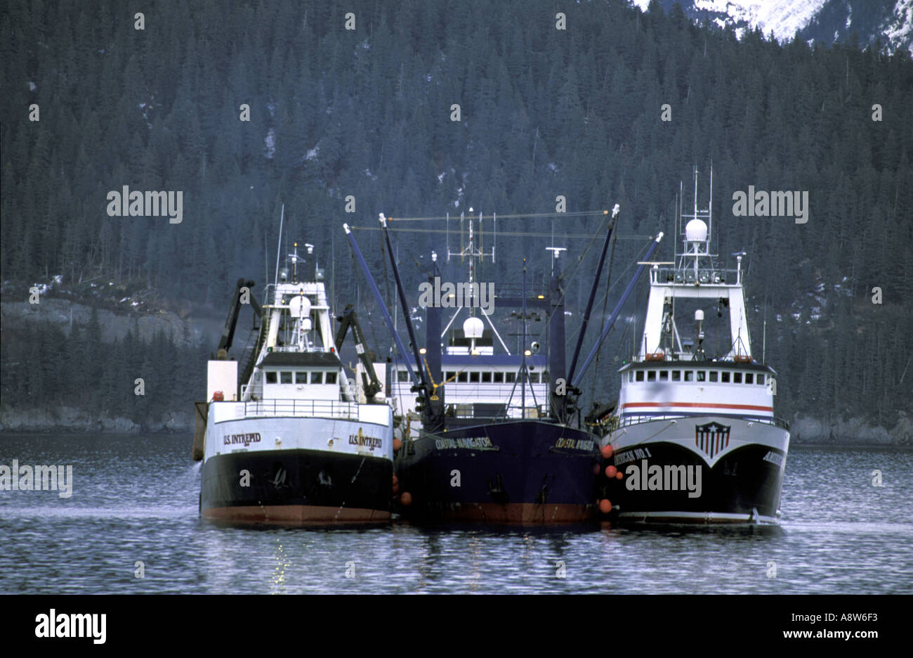 The US Intrepid and American No 1 off load fish to the Coastal ...