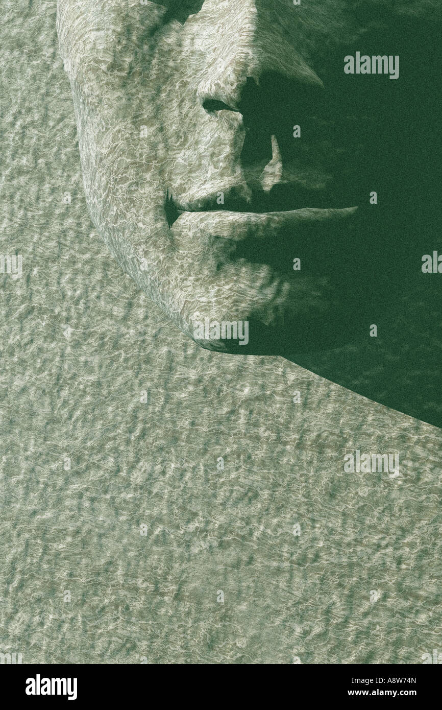 Person permanence hi-res stock photography and images - Alamy