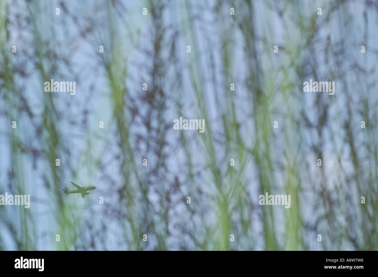 plane over London Wetland Centre UK Stock Photo - Alamy