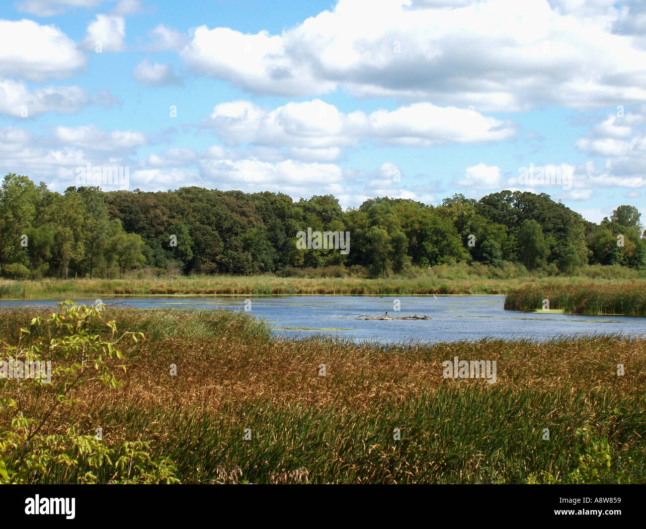 Brush lands hi-res stock photography and images - Alamy