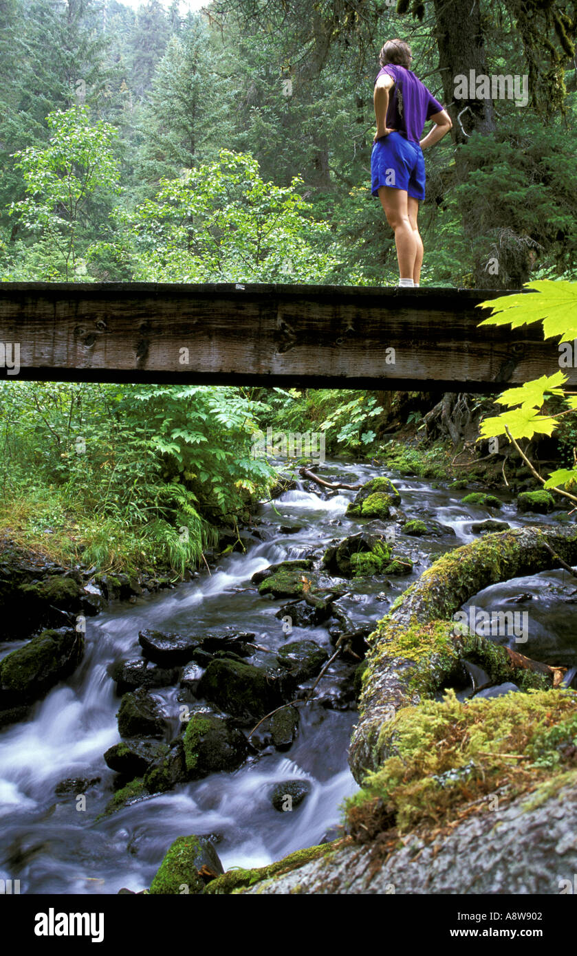 Hiker on the Resurrection River Trail Chugach National Forest Alaska ...