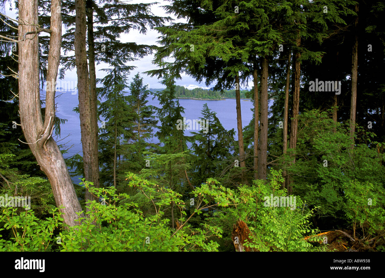 Sitka Sound and Tongass National Forest Sitka Southeast Alaska Stock ...