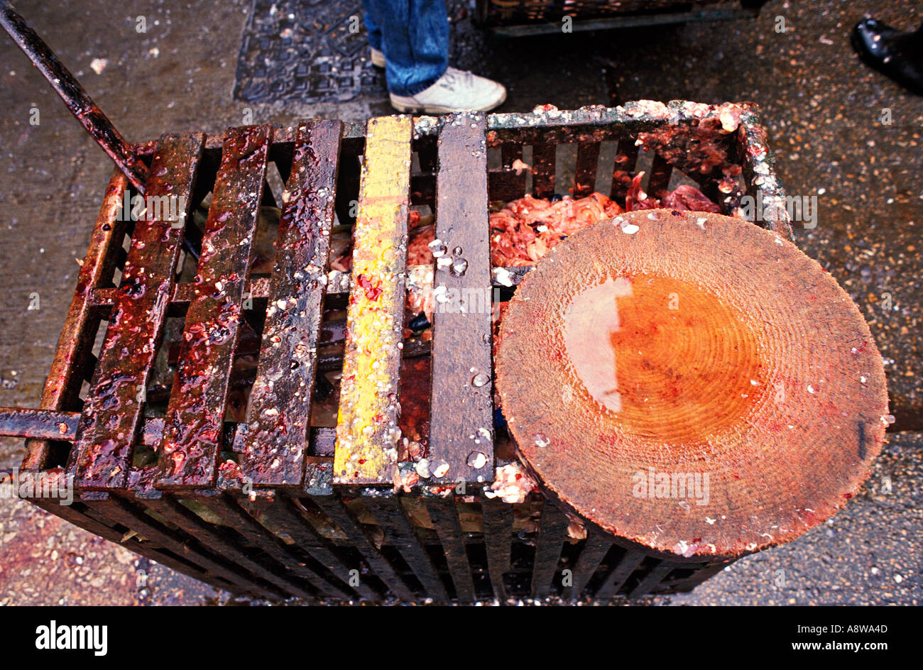 Fish guts cooking hi-res stock photography and images - Alamy