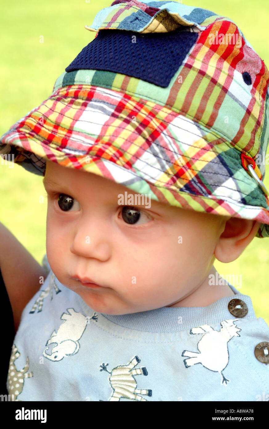 Portrait of an eight-month old baby boy Stock Photo - Alamy