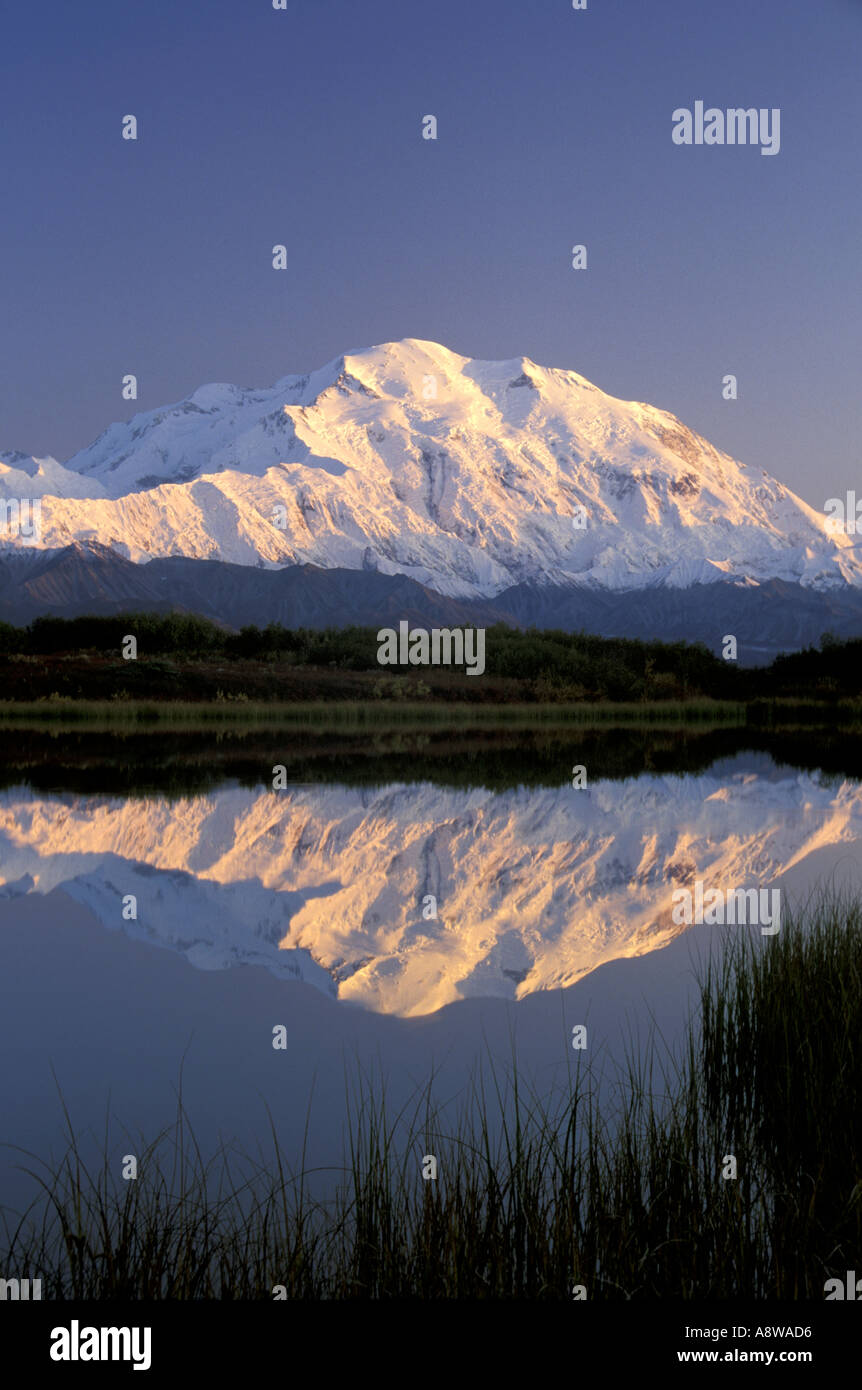 Mt McKinley Denali Reflection Denali National Park Alaska Stock Photo ...