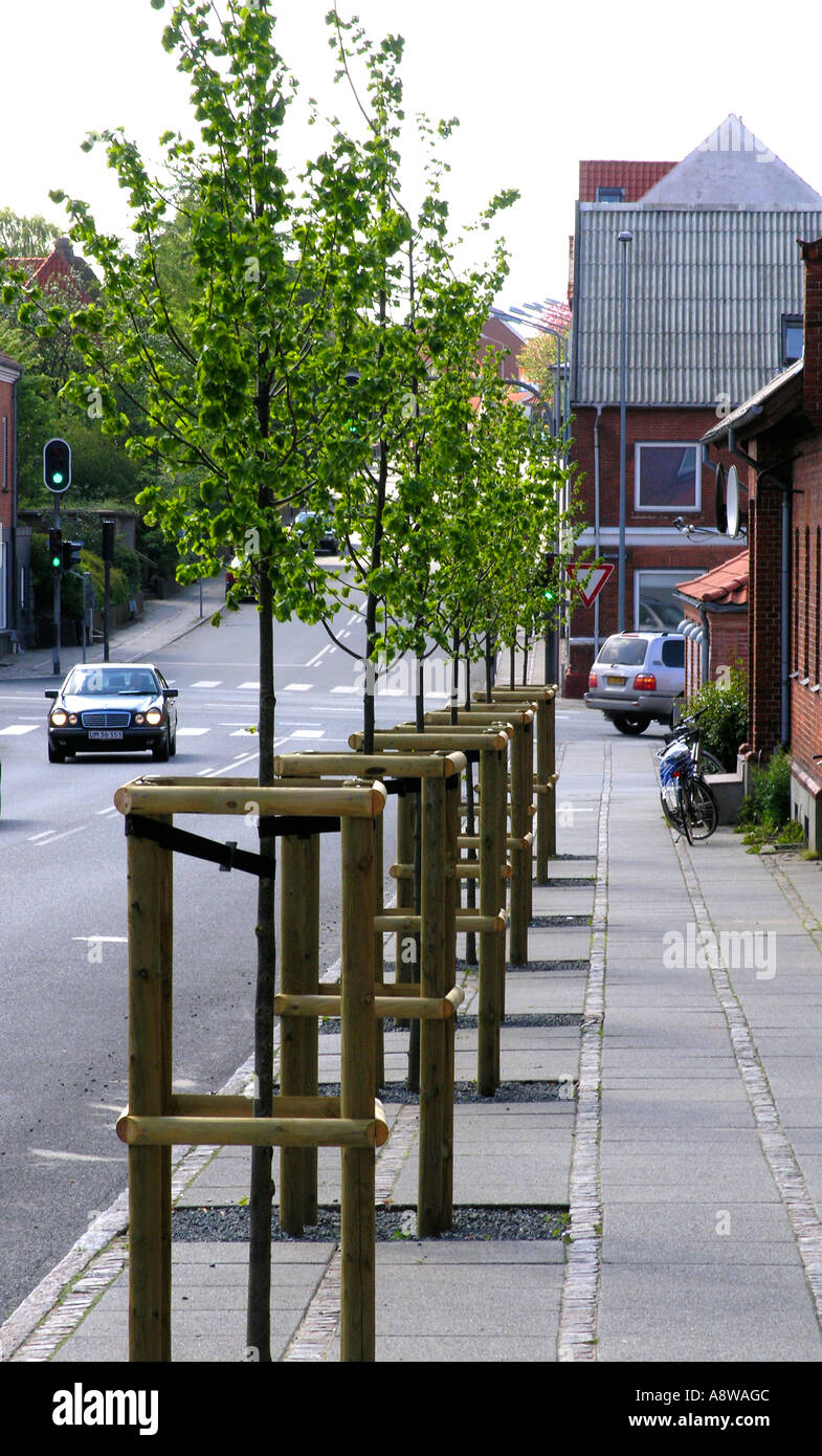 city street with line of trees Stock Photo - Alamy