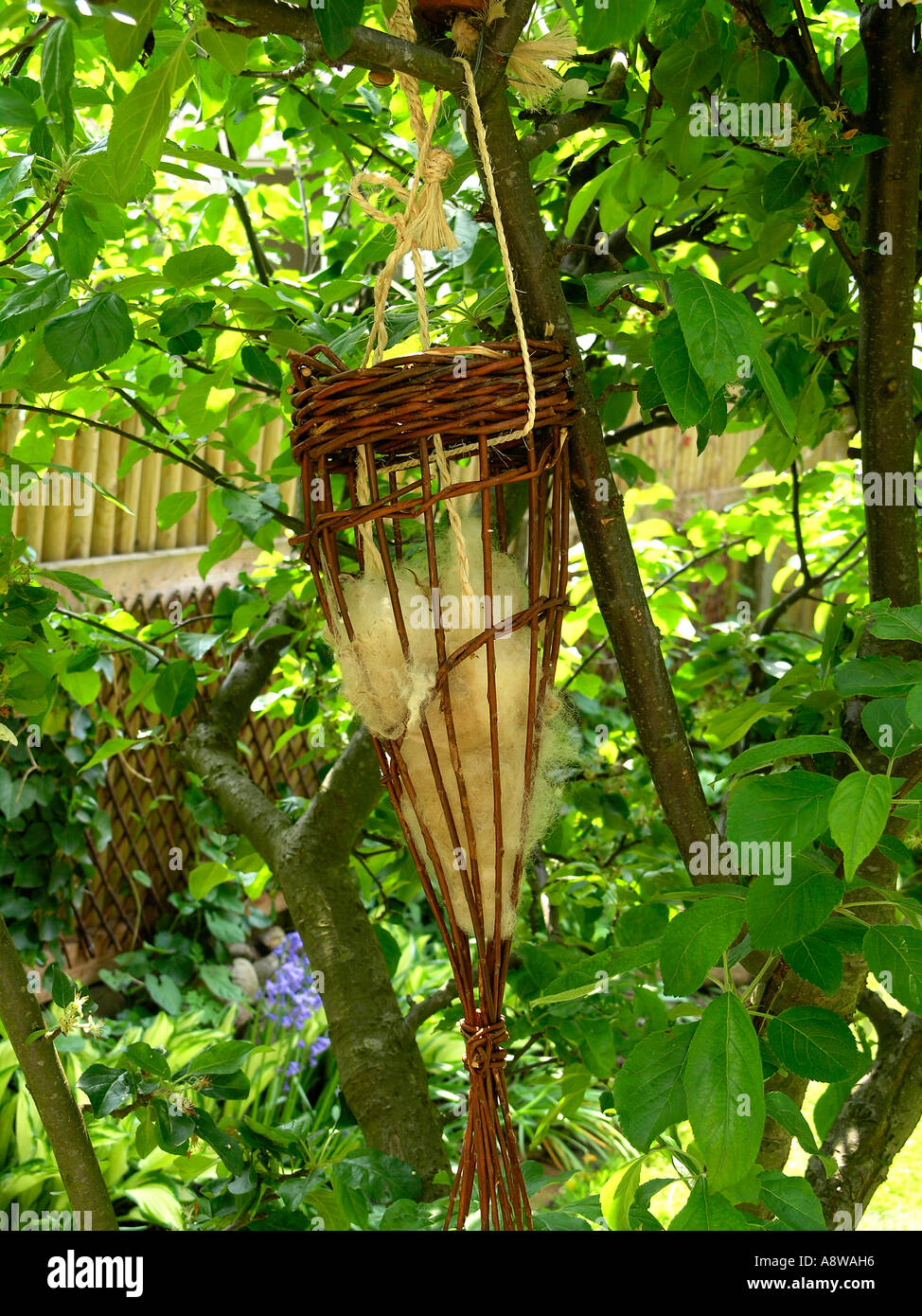 Birds and birdfeeder hi-res stock photography and images - Alamy