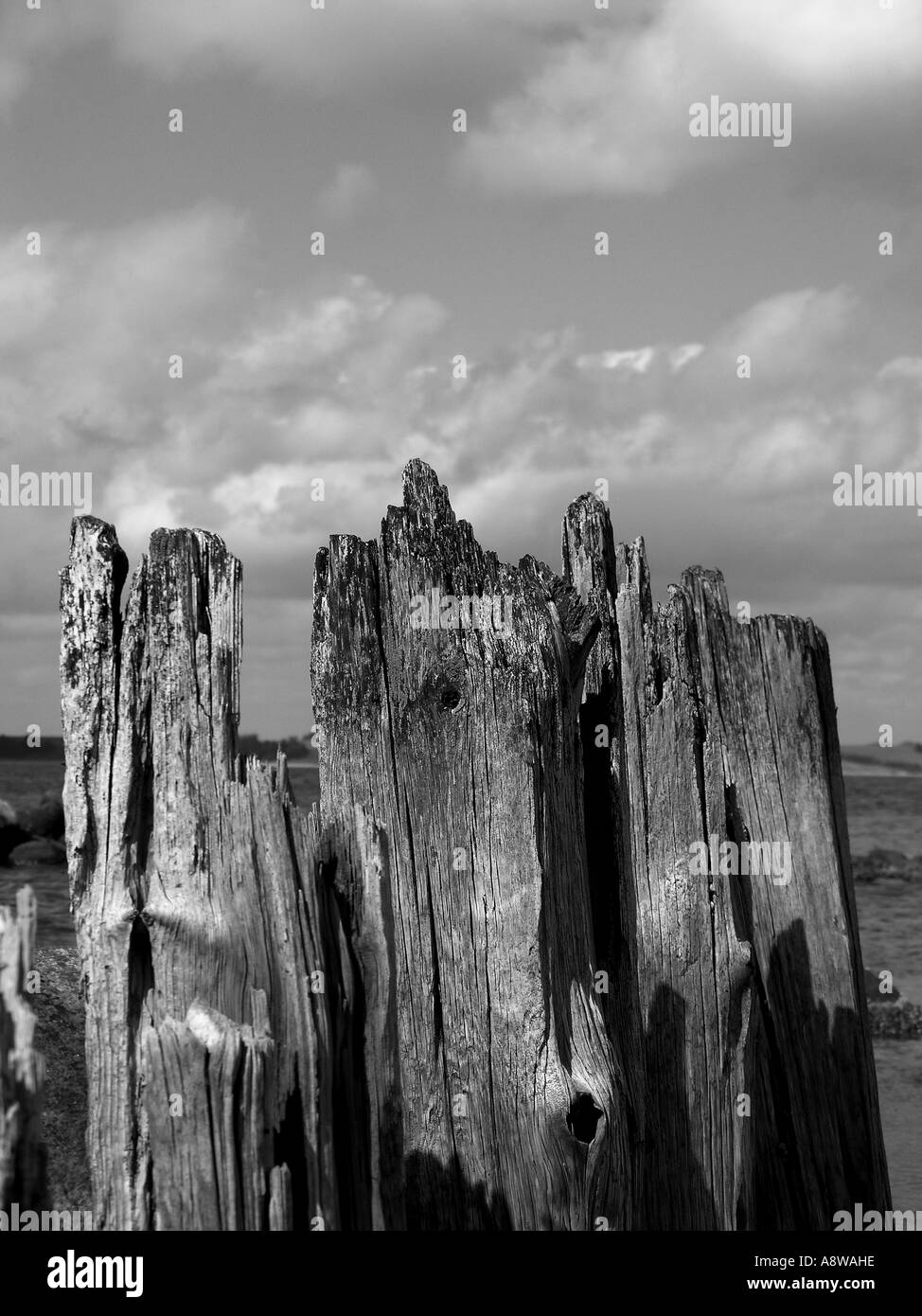 Rotten wooden pole hi-res stock photography and images - Alamy