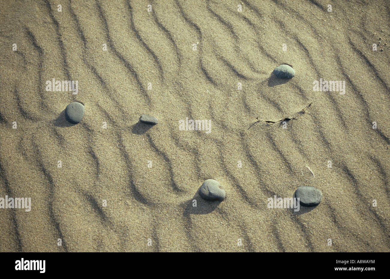Pebbles on a dry sandy beach Stock Photo - Alamy