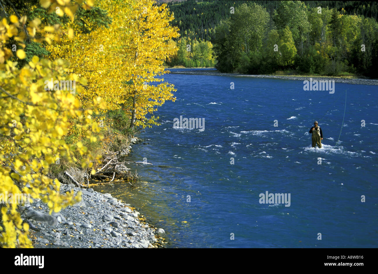 Fly Fishing on the Kenai River Kenai Peninsula Alaska Stock Photo - Alamy