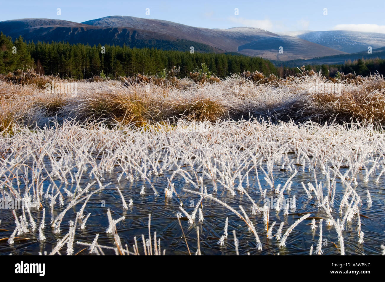 Uath lochans hi-res stock photography and images - Alamy
