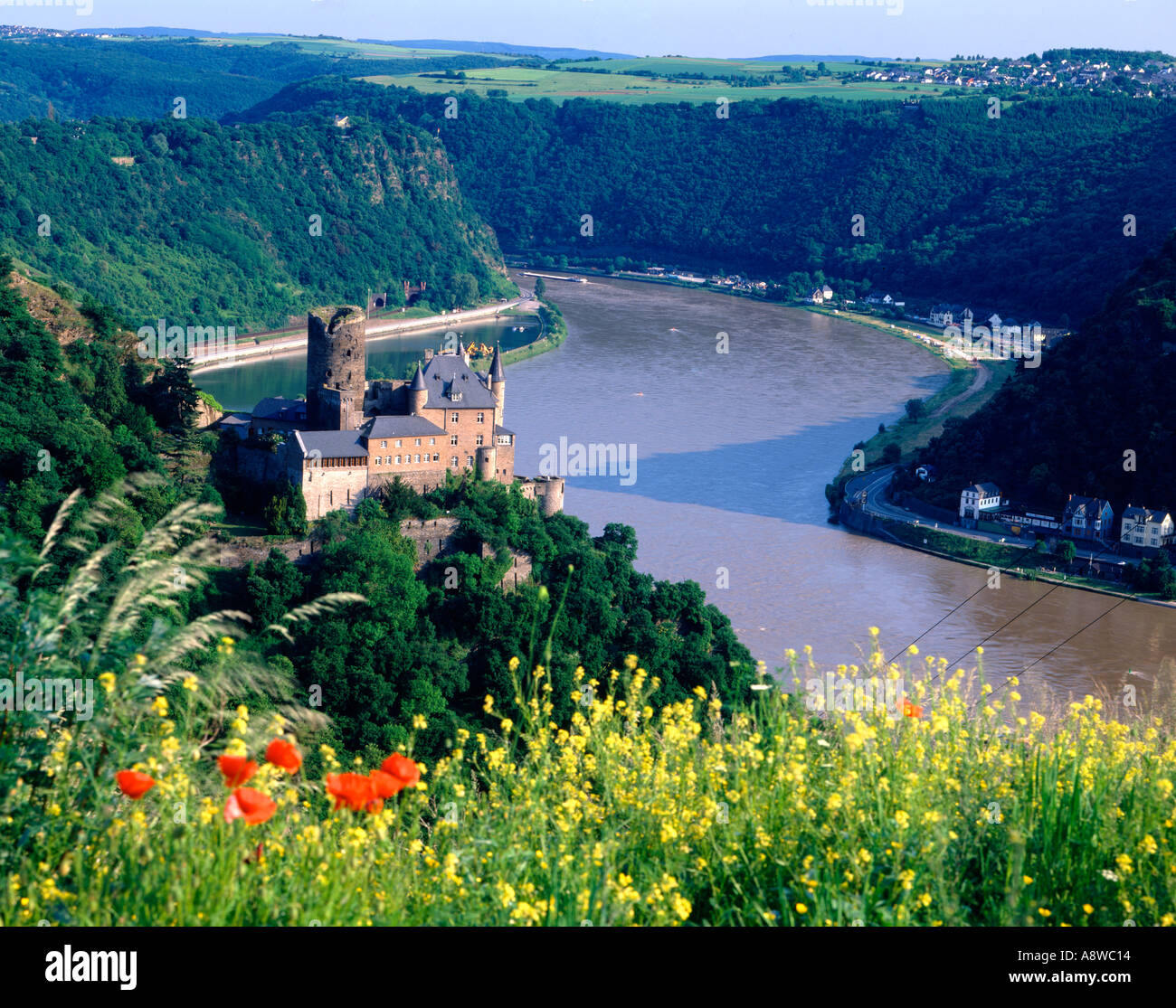 Rhine valley castle germany hi-res stock photography and images - Alamy
