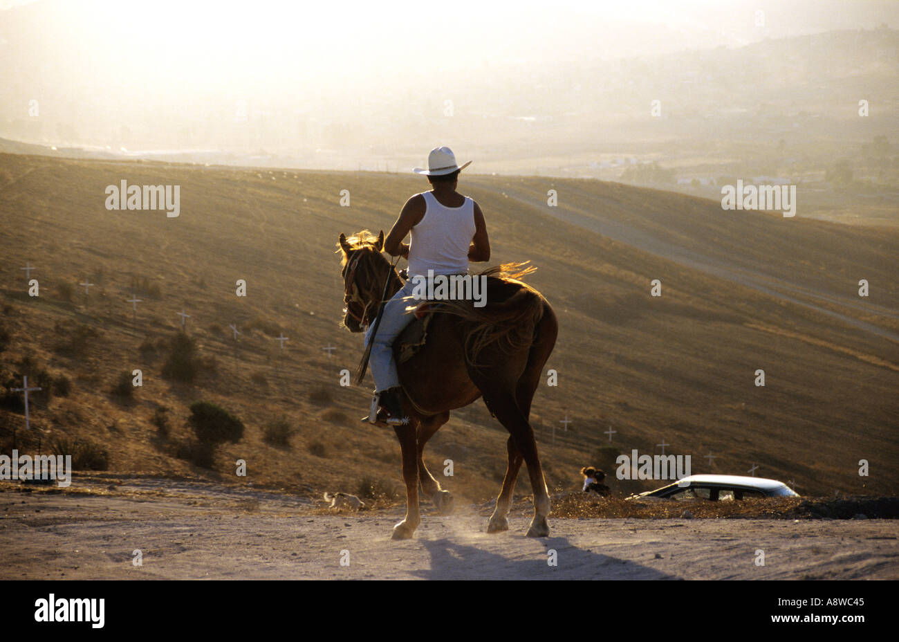Lone rider on horseback near Tijuana Mexico Stock Photo - Alamy