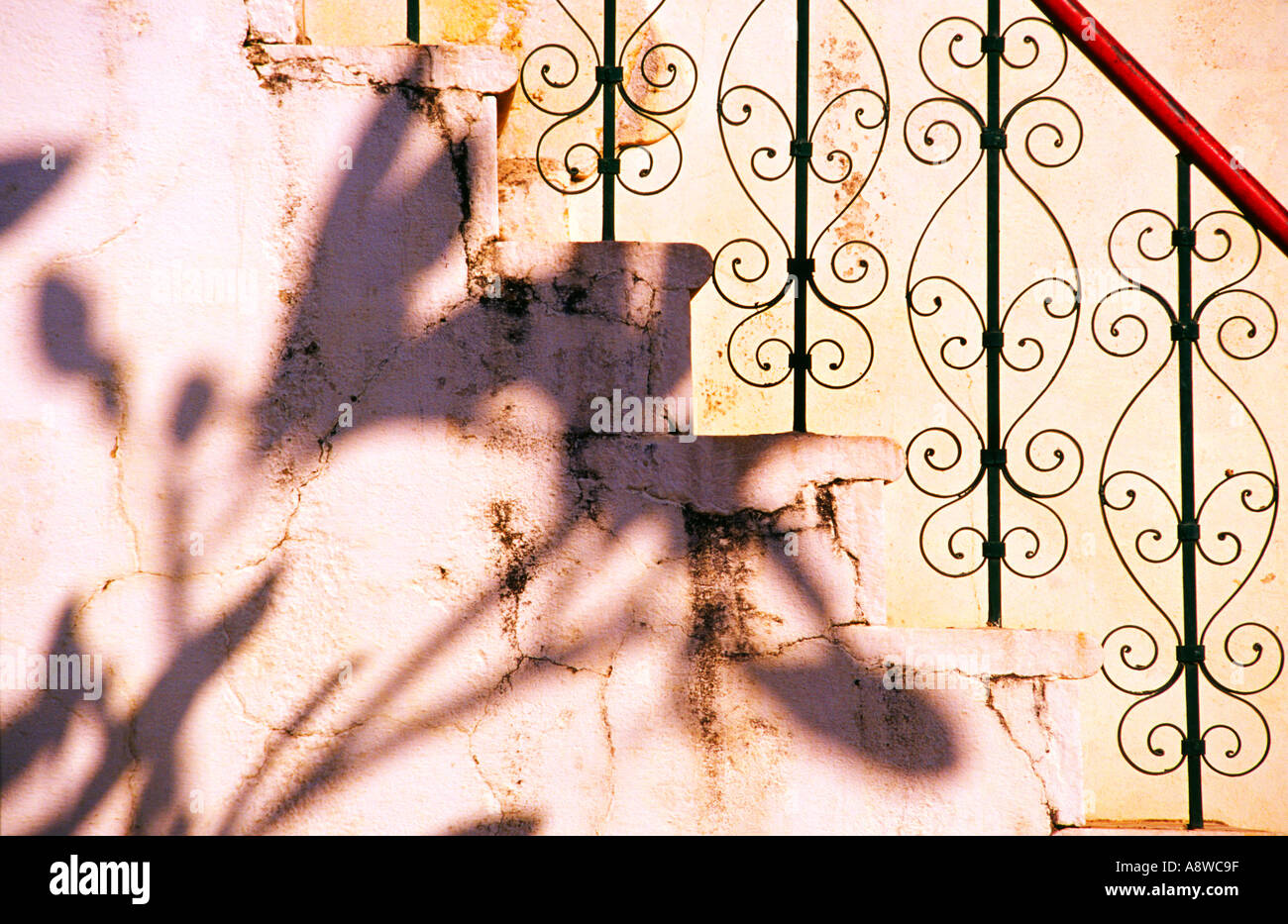 Mottled light from a tree branch shade on s set of stairs with bright ...