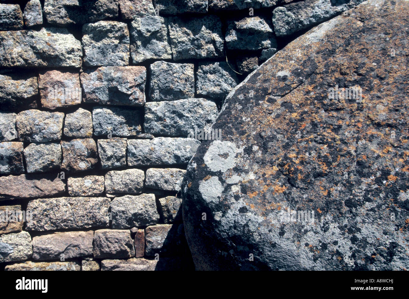 Onion skin weathering hi-res stock photography and images - Alamy