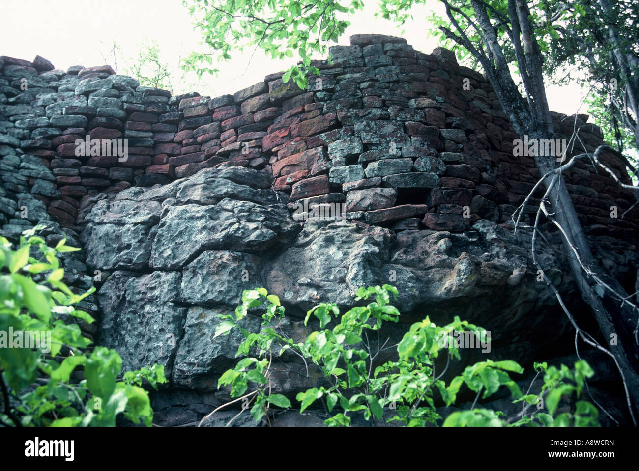 Bumbusi hi-res stock photography and images - Alamy
