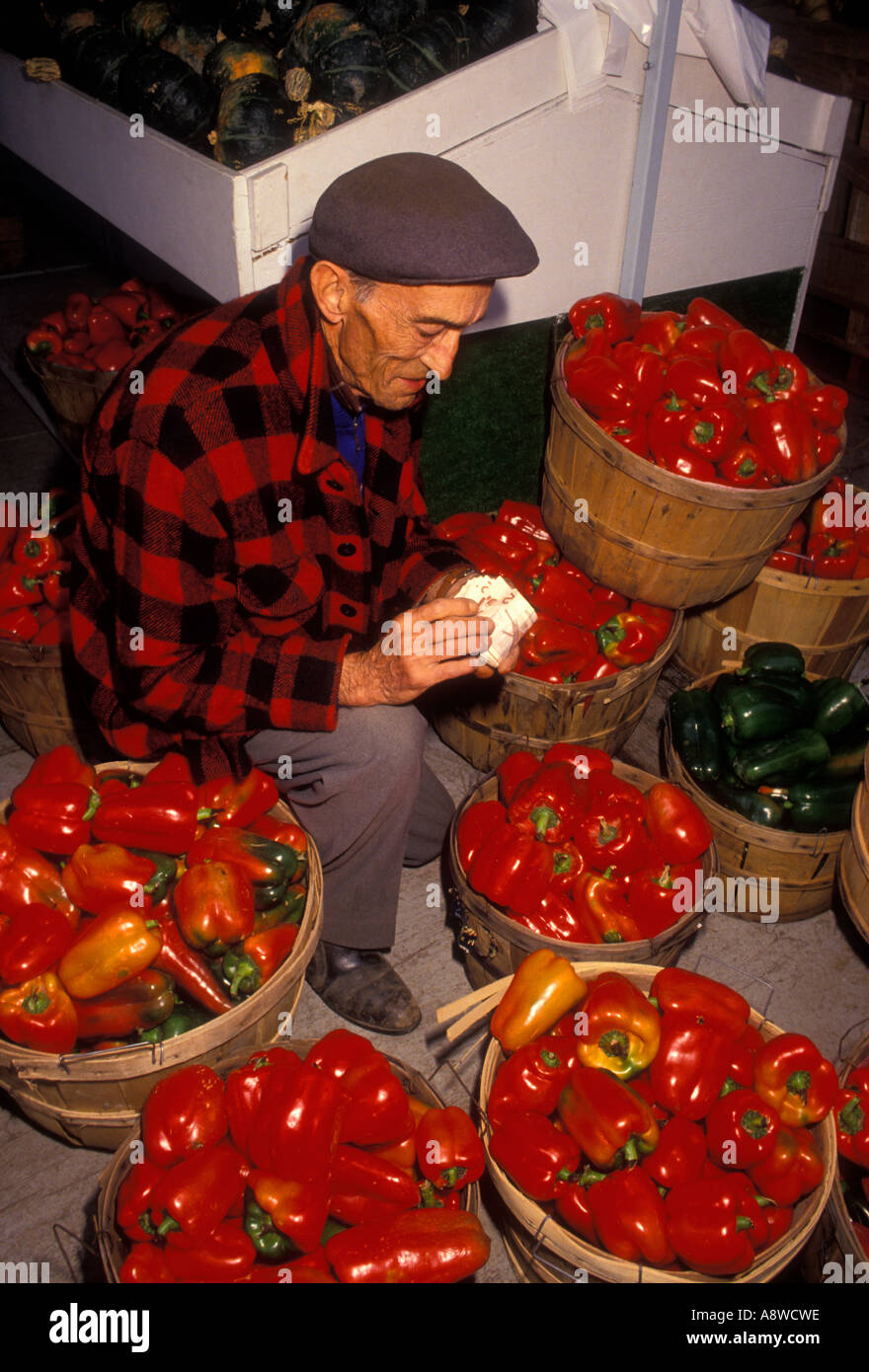 French-Canadian man, French-Canadian, man, adult man, mature man ...