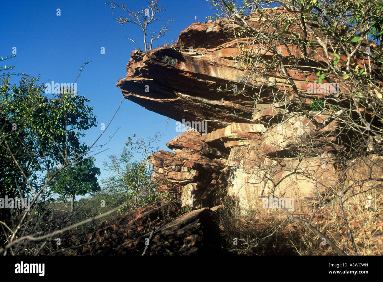 Shelter zimbabwe hi-res stock photography and images - Alamy