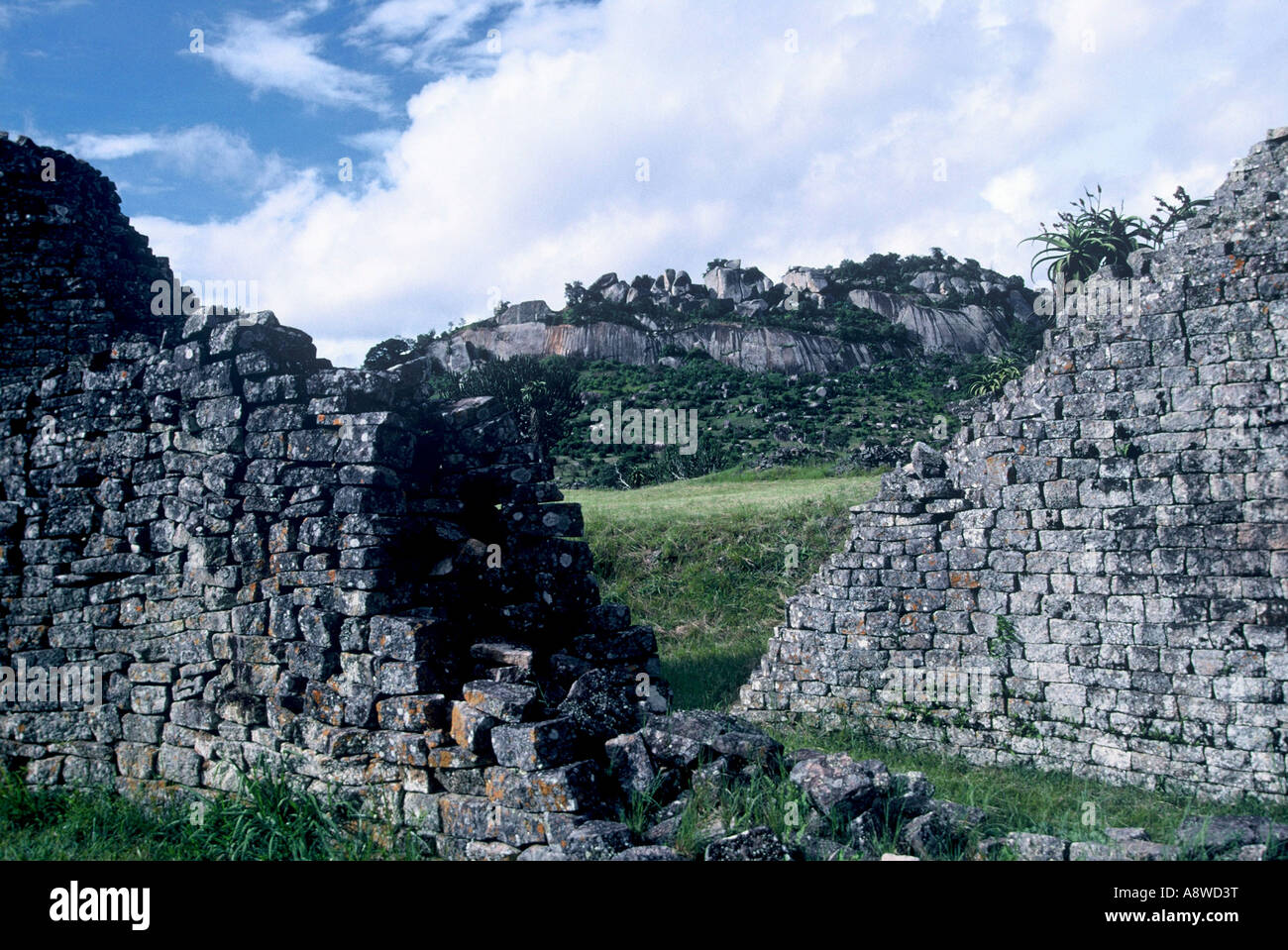 The Westren Entrance to the main Enclosure Stock Photo - Alamy