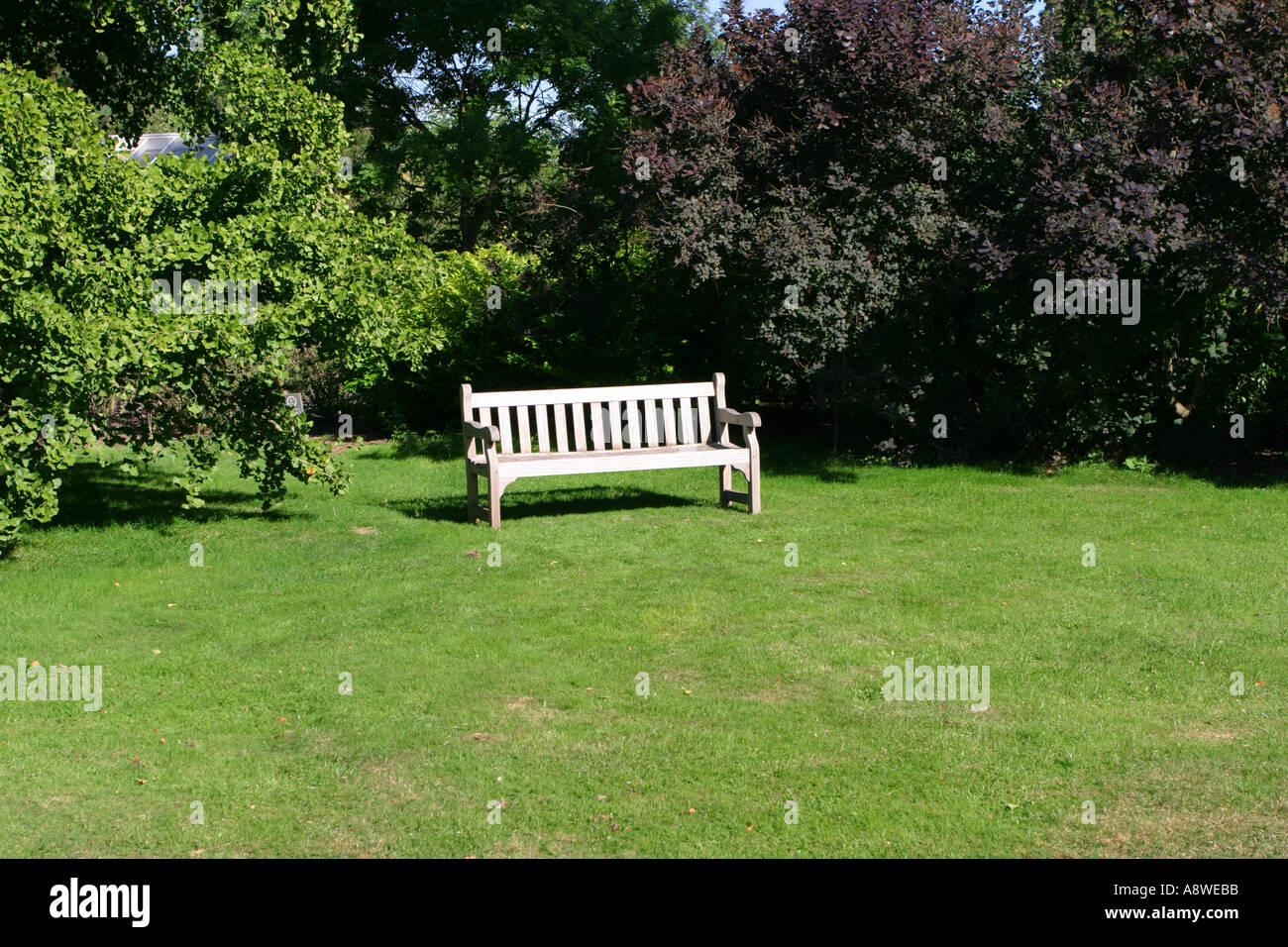 Empty Park bench Stock Photo - Alamy