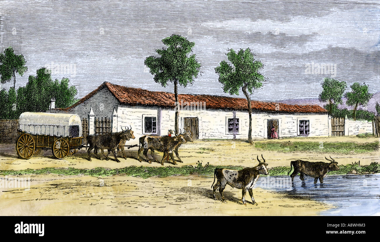 Boer farm in South Africa in the mid 1800s. Hand-colored woodcut Stock ...
