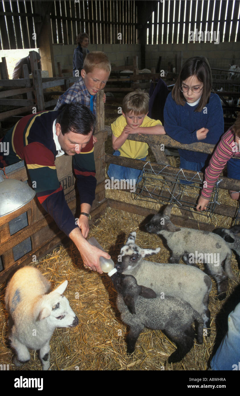 children on city farm Stock Photo - Alamy