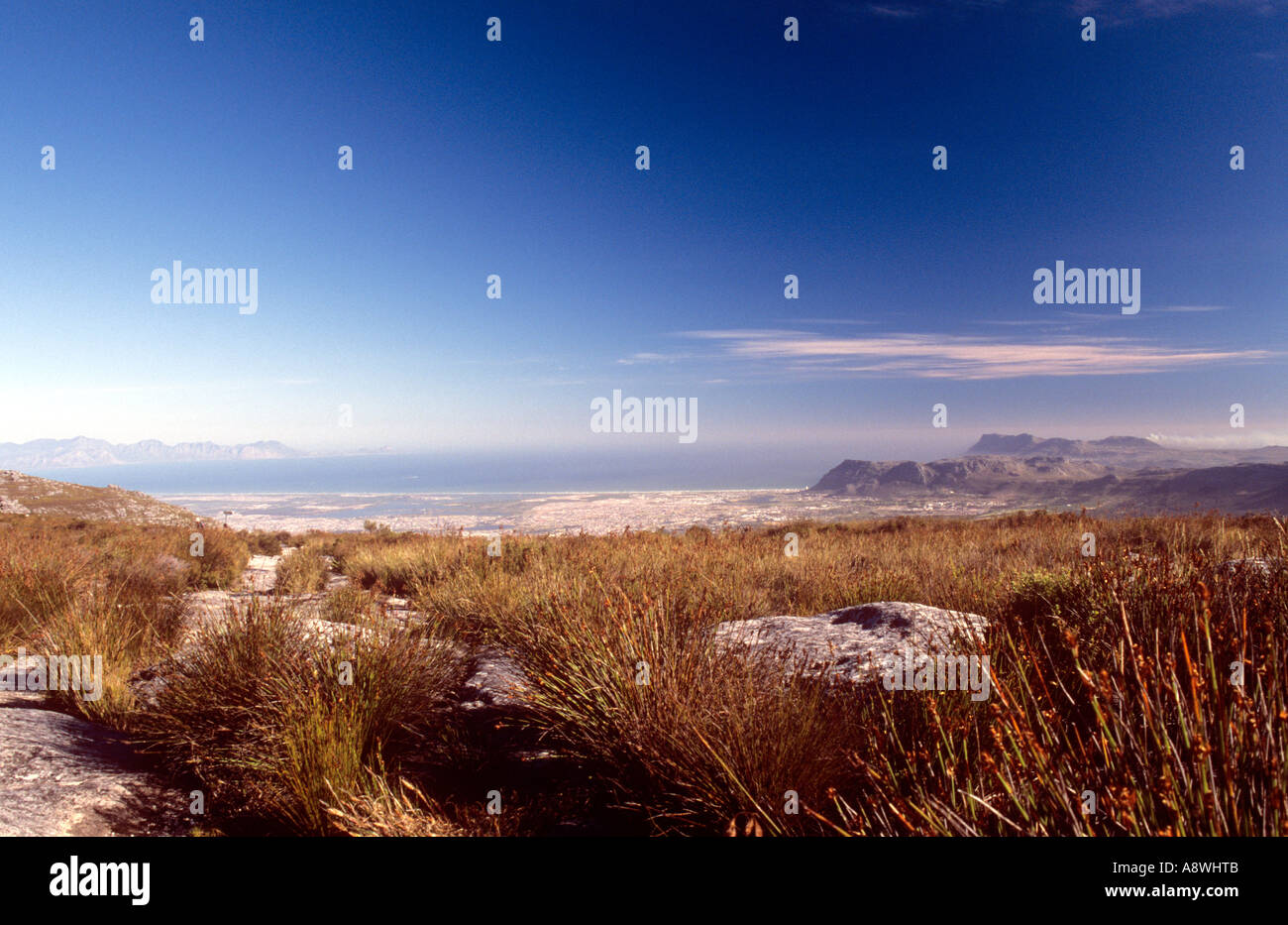 Cape flats from Table Mountain Stock Photo - Alamy