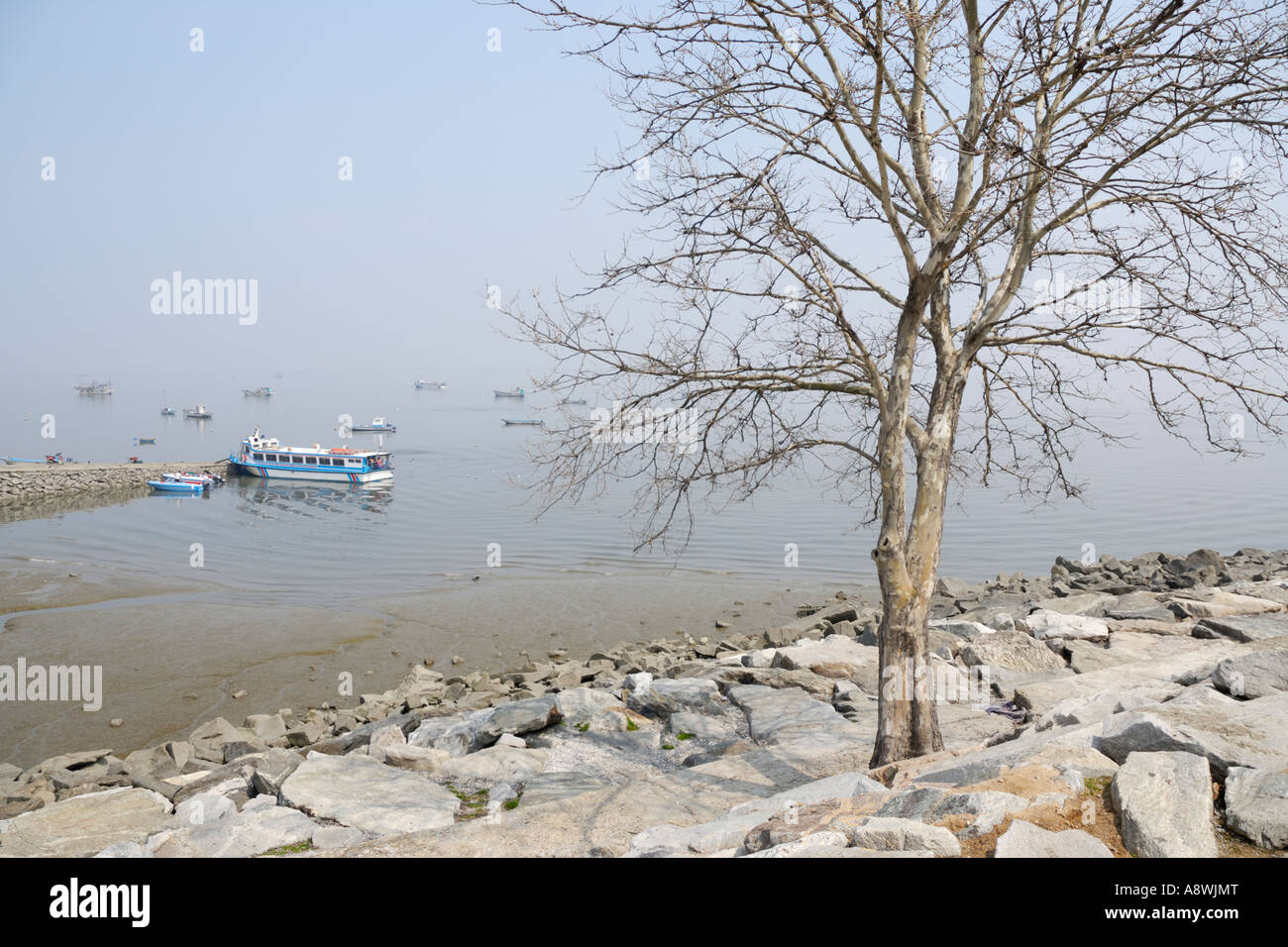 A cruise ship at the harbor, Dangjin City KR Stock Photo - Alamy
