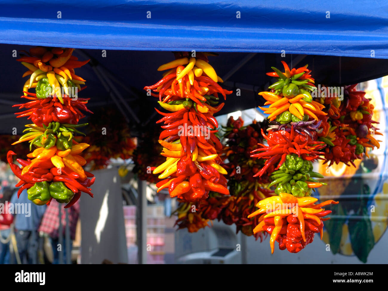 Colorful chili on a street market, Seattle WA Stock Photo - Alamy