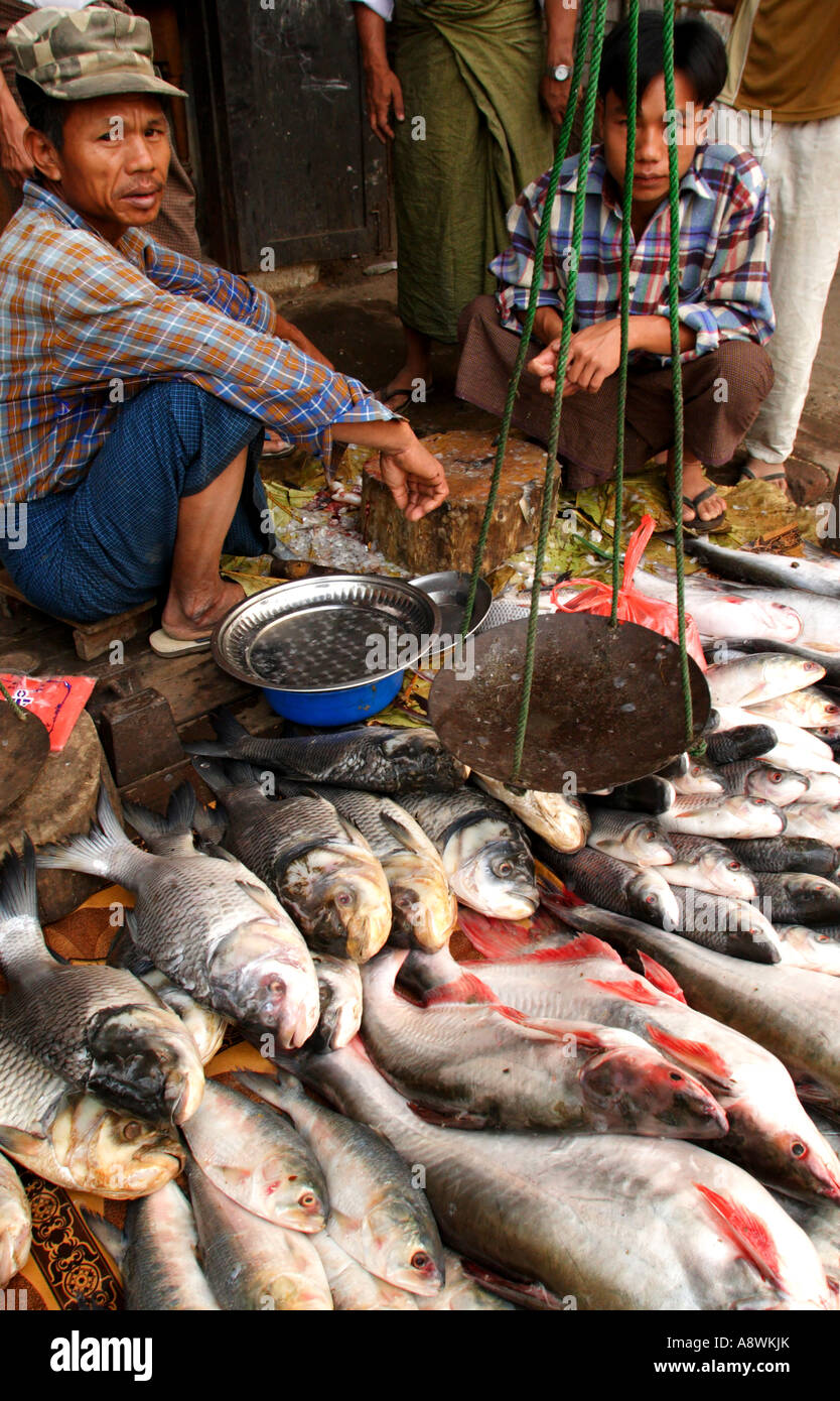 Asia, Myanmar, fish for sale at morning market Stock Photo - Alamy