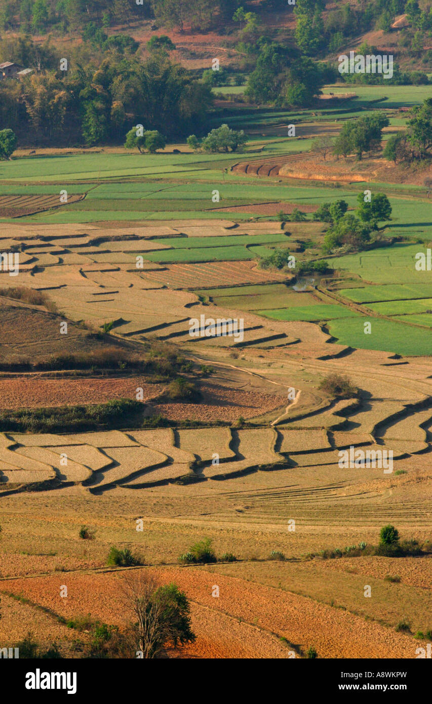 Asia, Myanmar, Shan State, terraced field in dry season Stock Photo - Alamy