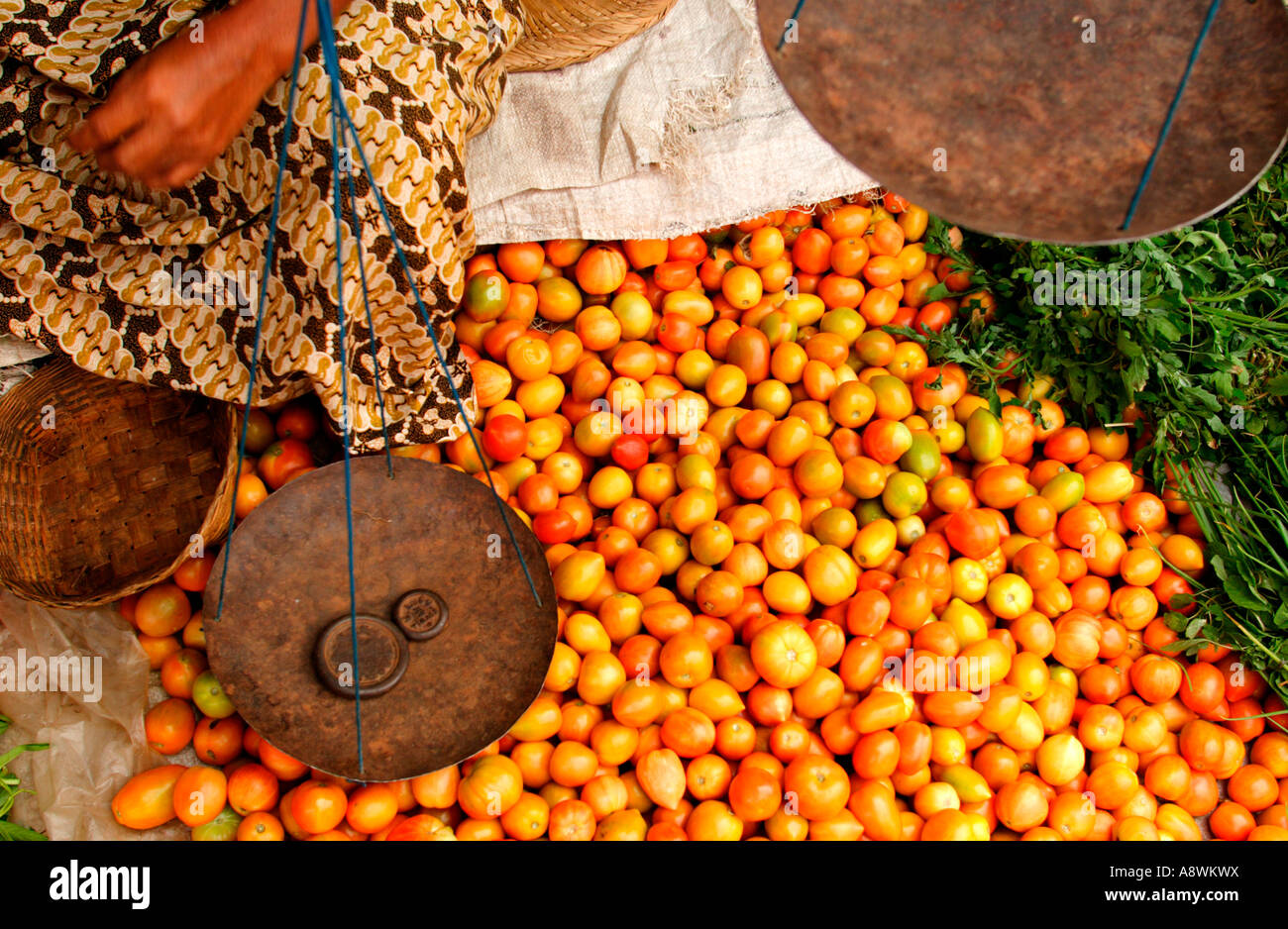 Asia, Myanmar, Nyaungshwe, vegetable hawker selling tomatoes Stock ...