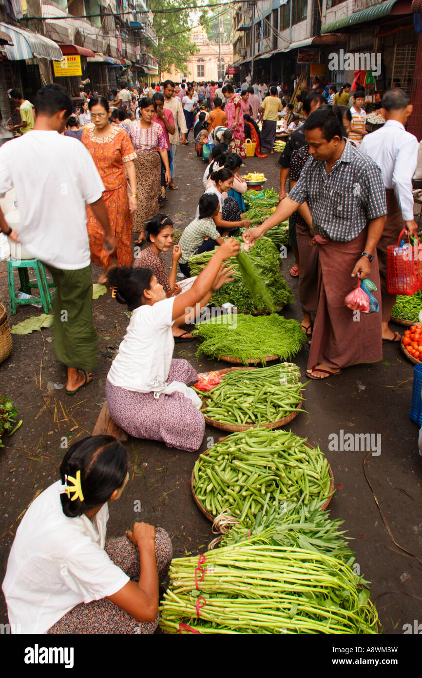 Asia, Myanmar, Yangon daily market Stock Photo - Alamy