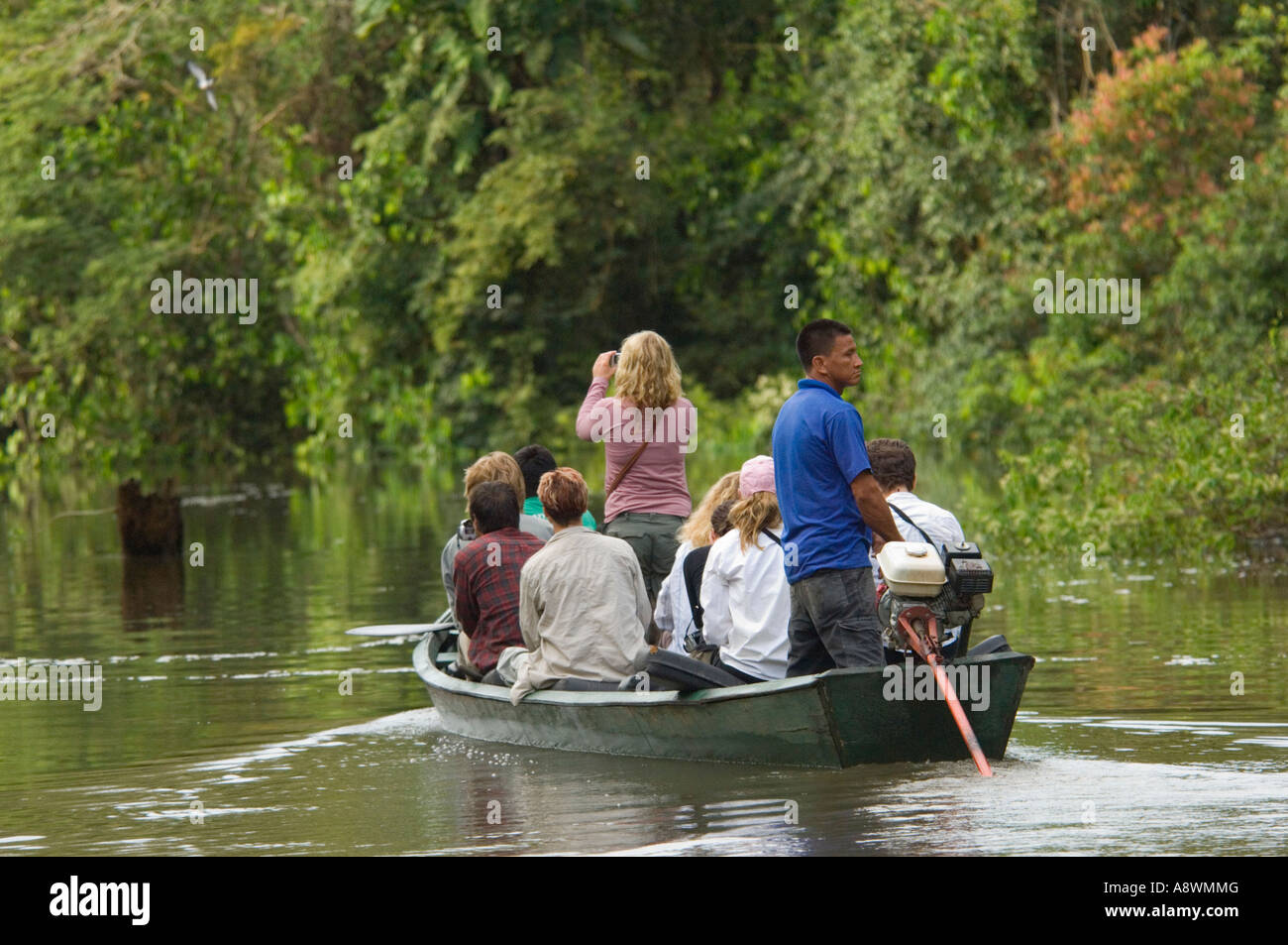 Amazon rainforest river canoe tourists hi-res stock photography and ...