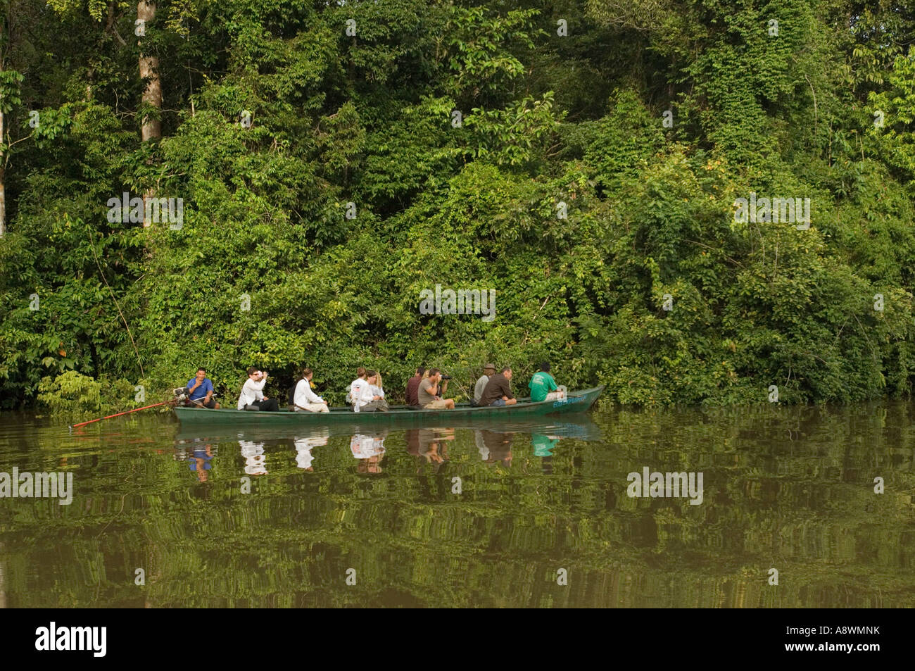 A group of tourists on a guided canoe trip on the Jamary tributary of ...