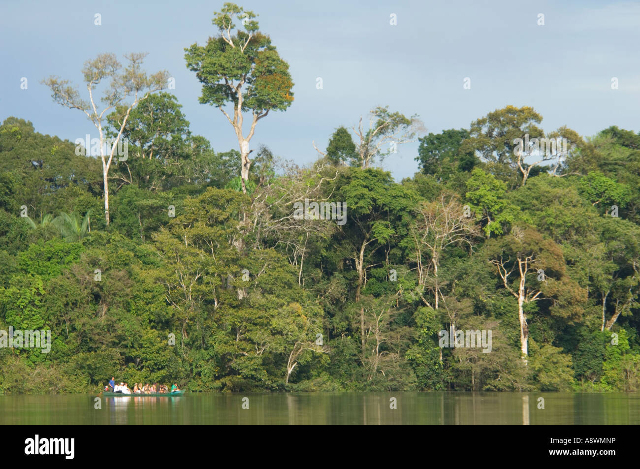A group of tourists on a guided canoe trip on the Jamary tributary of ...
