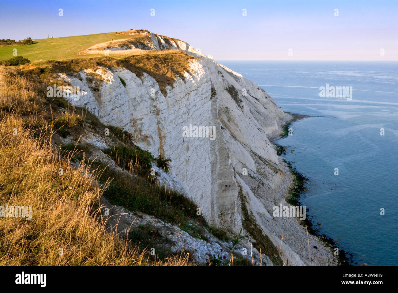 Cliff edge grasses hi-res stock photography and images - Alamy