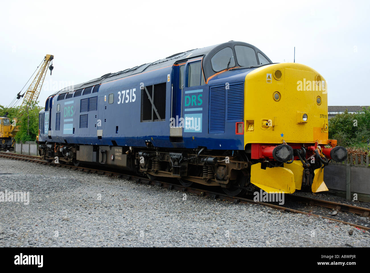 A type 37 Diesel-electric locomotive in "Direct Rail Services" livery ...